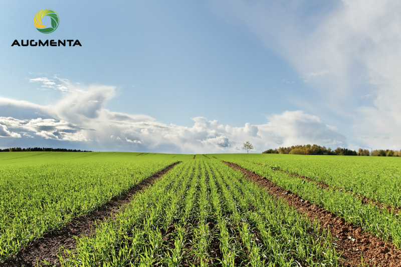 CNH Industrial acquires a minority stake in Augmenta – Wheels and Fields
