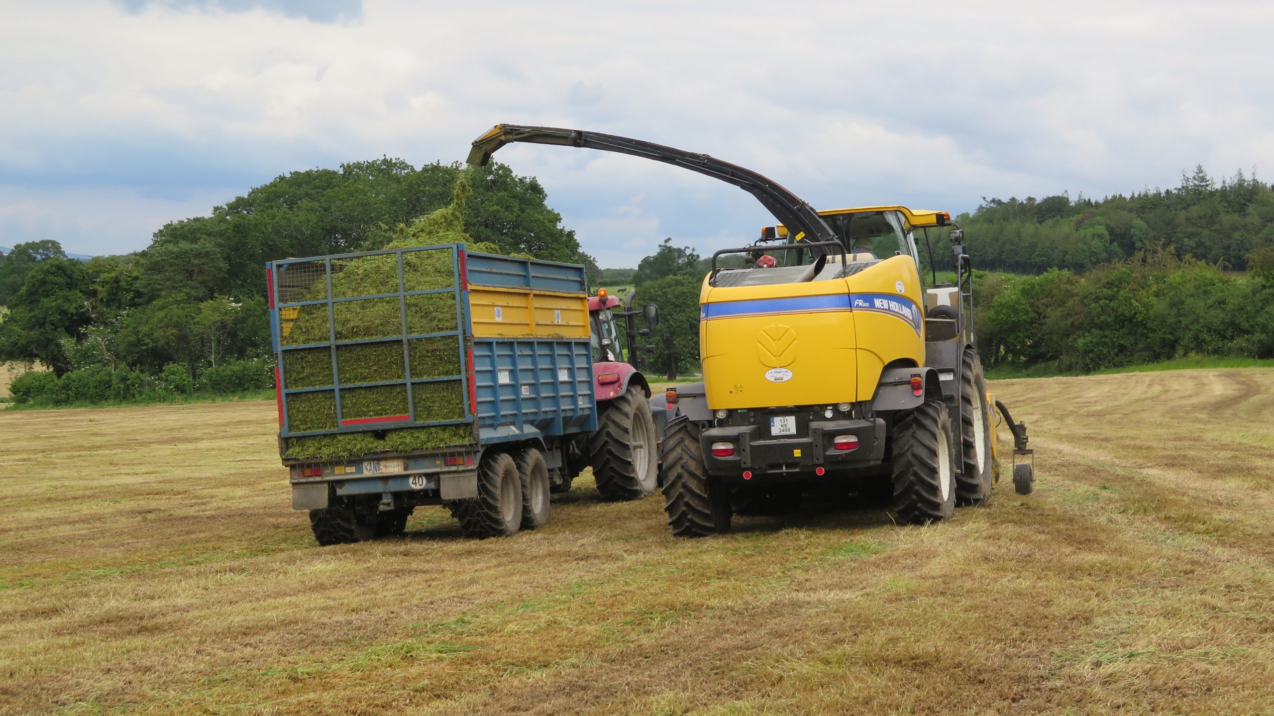 Silage 2021 – A call for calm from Association of Farm & Forestry ...